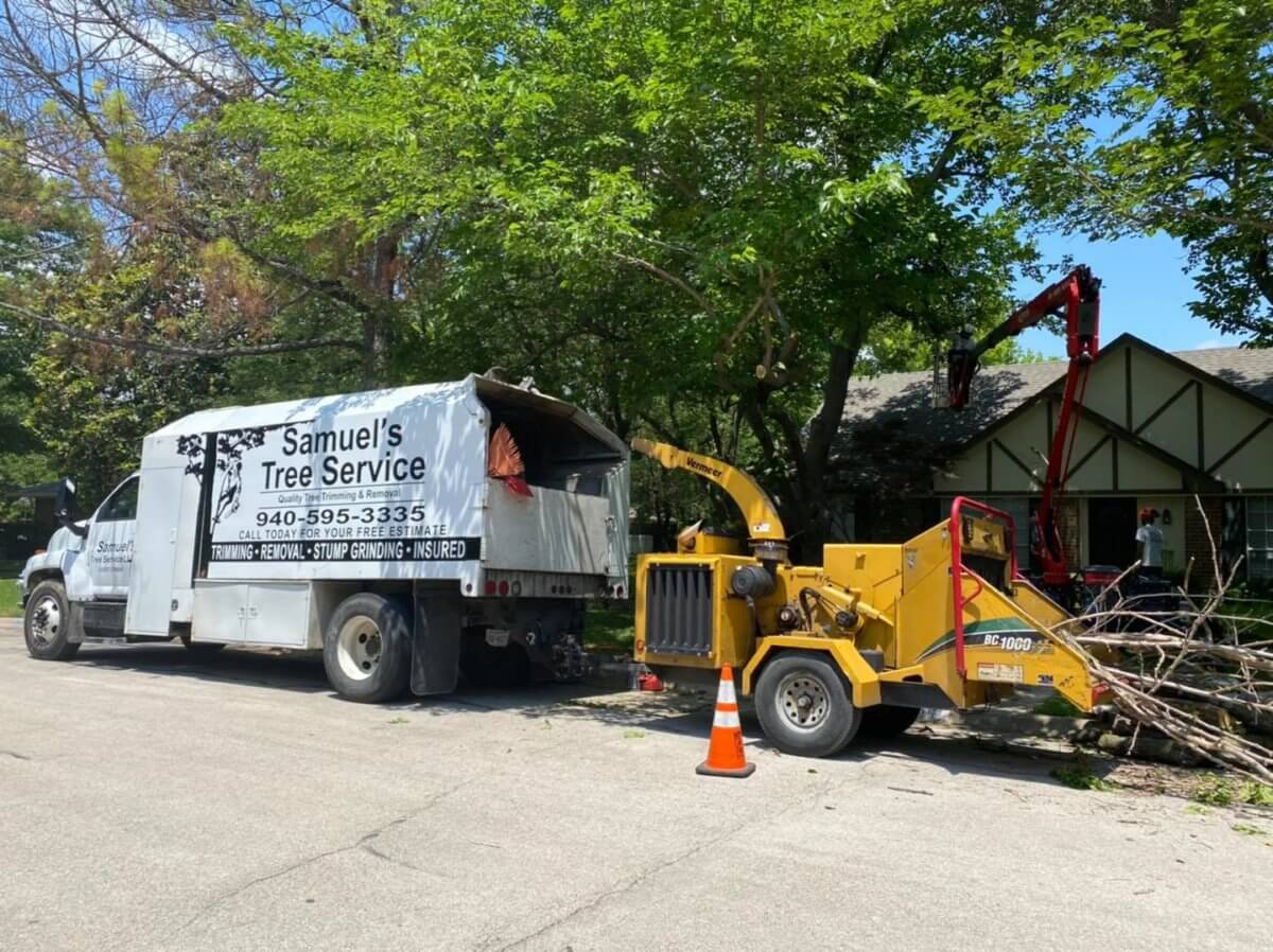 Photo Gallery - Denton Texas Tree Service & Arborist | Samuel's Tree ...