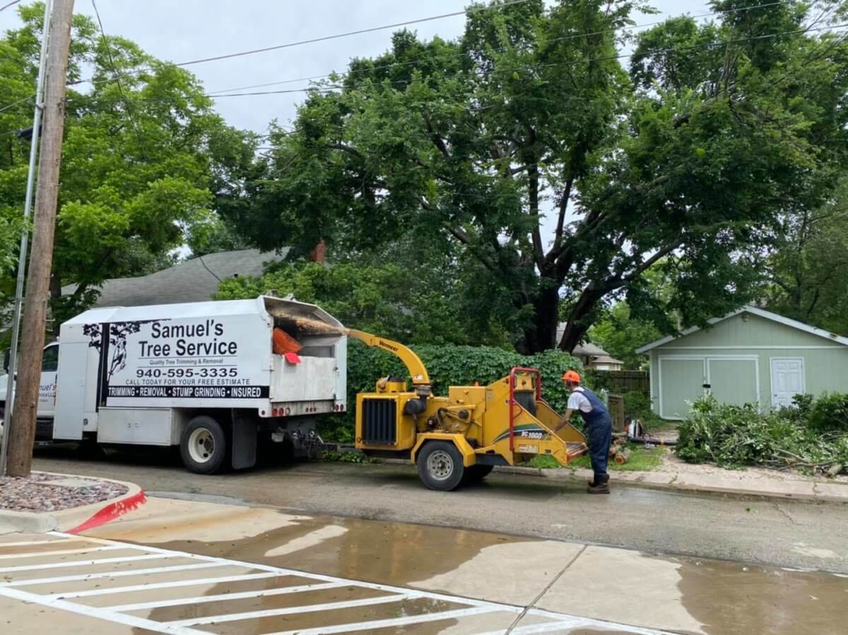 Photo Gallery - Denton Texas Tree Service & Arborist | Samuel's Tree ...