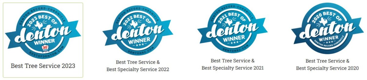 Denton Tree Removal, Tree Trimming / Pruning. 940-595-3335 - Samuel's ...